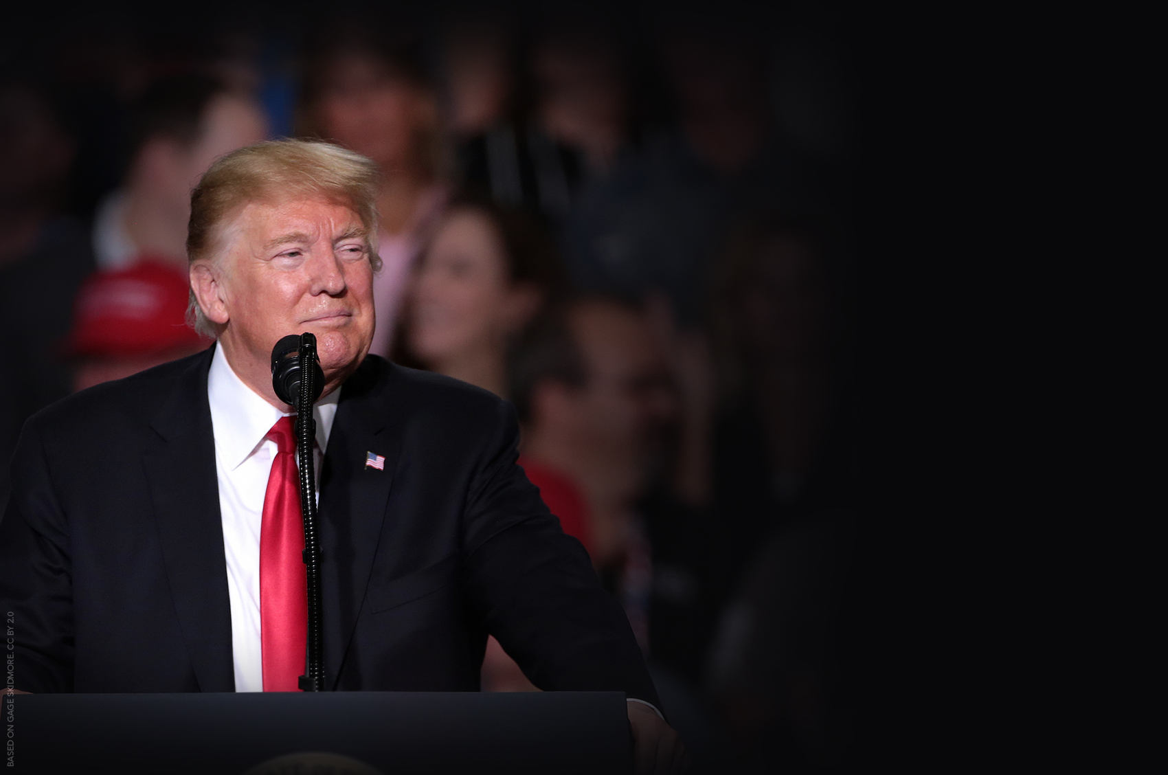 Stand with President Trump!